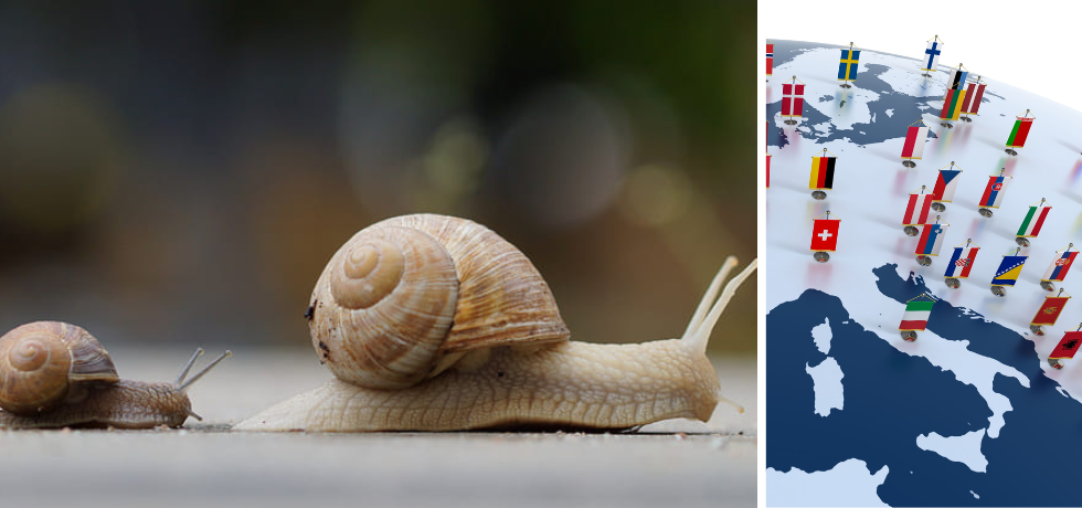 Slowbalization y el cambio de paradigma: ¿Una oportunidad para el ...